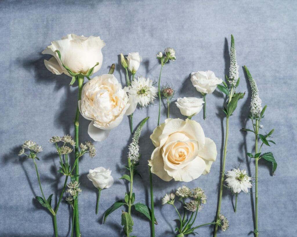 pearl- bouquet - go.botanica bespoke florists